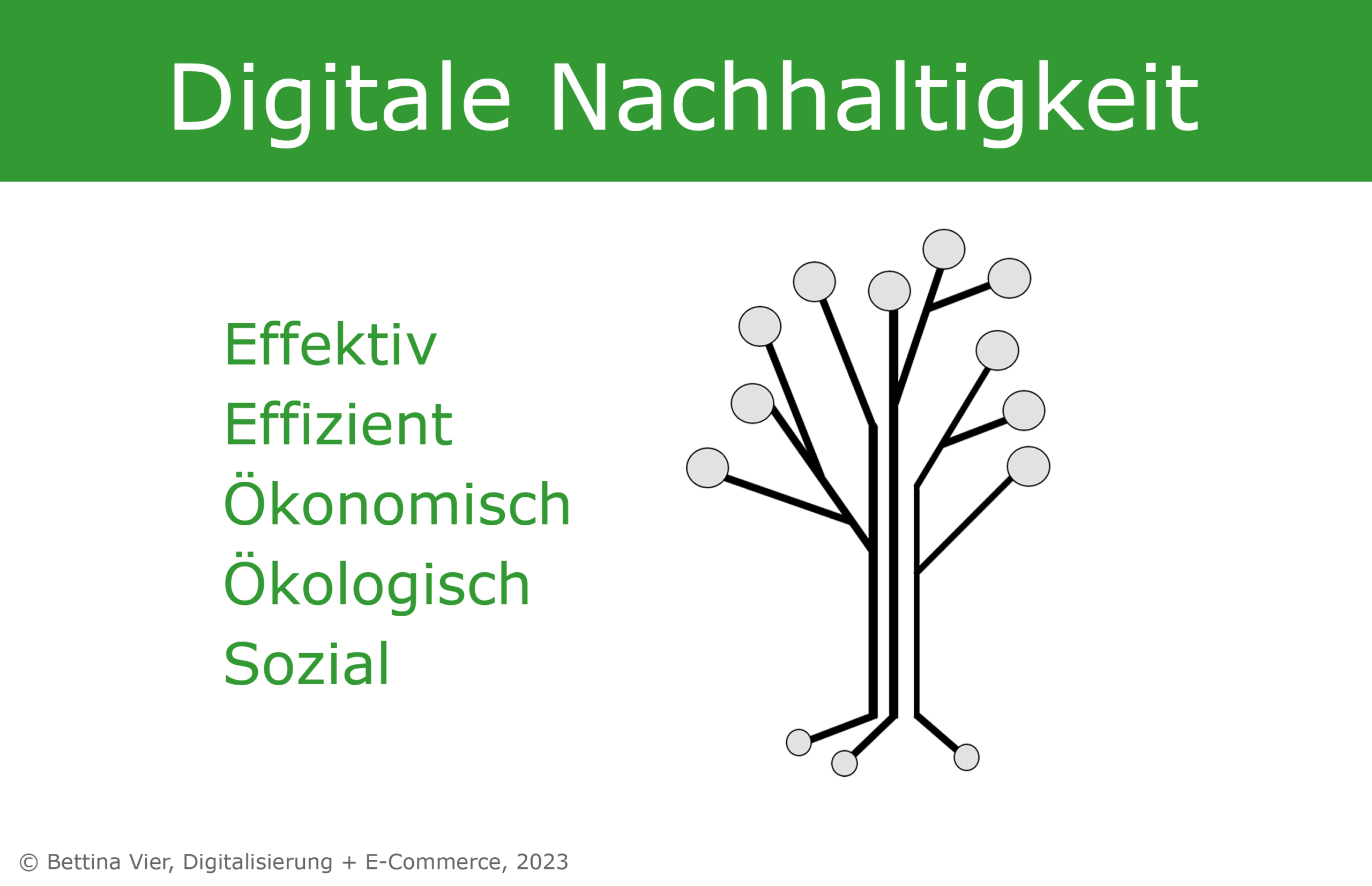 E-Book: Digitale Nachhaltigkeit - Bettina Vier